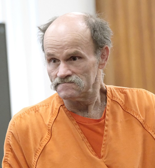 Second accused dog napper pleads not guilty | Western News