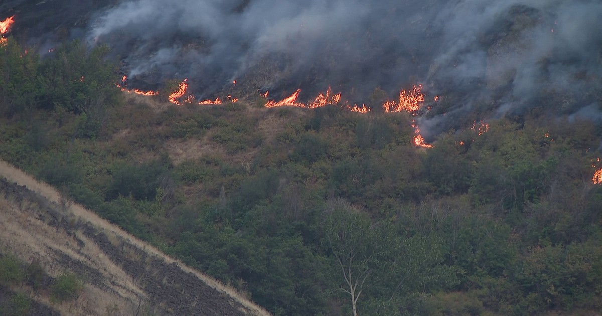 FEMA approves funds to help combat Gwen Fire near Lewiston, Idaho ...