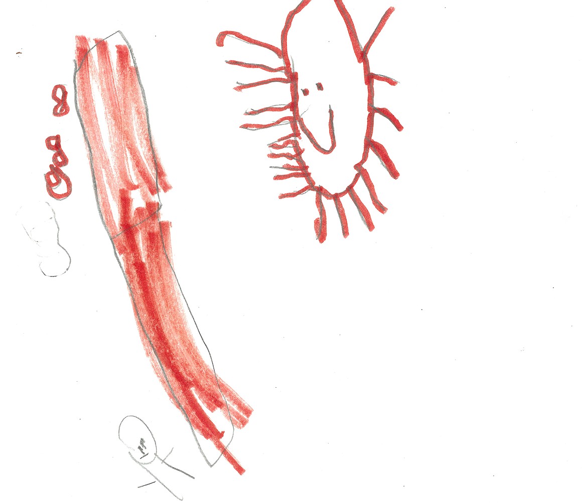 Kid Weather - Aug. 1, 2024 | Bonner County Daily Bee