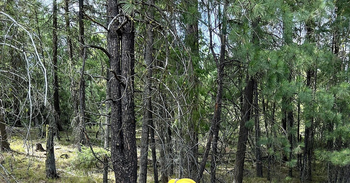 FIRE REPORT: Kachess Complex continues burning | Columbia Basin Herald