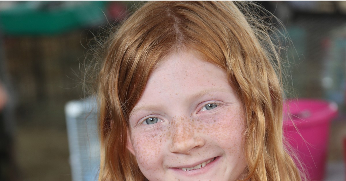 Digging 'Country Roots' at the fair | Bonner County Daily Bee