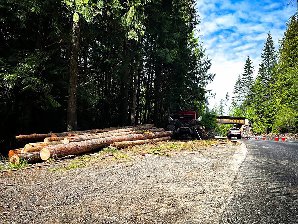 Hazard trees removed from highways | Bonner County Daily Bee