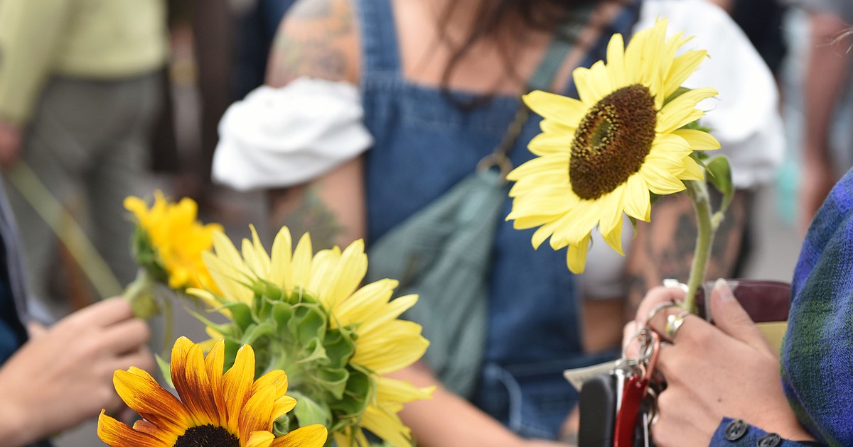 Sunflowers exchanged in memory of Whitefish man who died climbing in ...