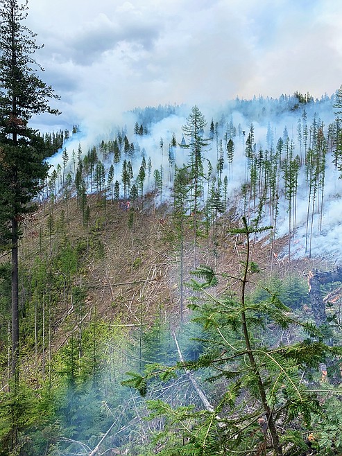 Fall prescribed burning to begin across forests | Coeur d'Alene Press