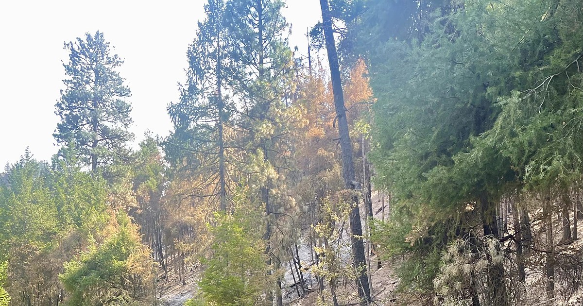 FIRE REPORT: Four fires contained Labor Day weekend, including Kachess ...