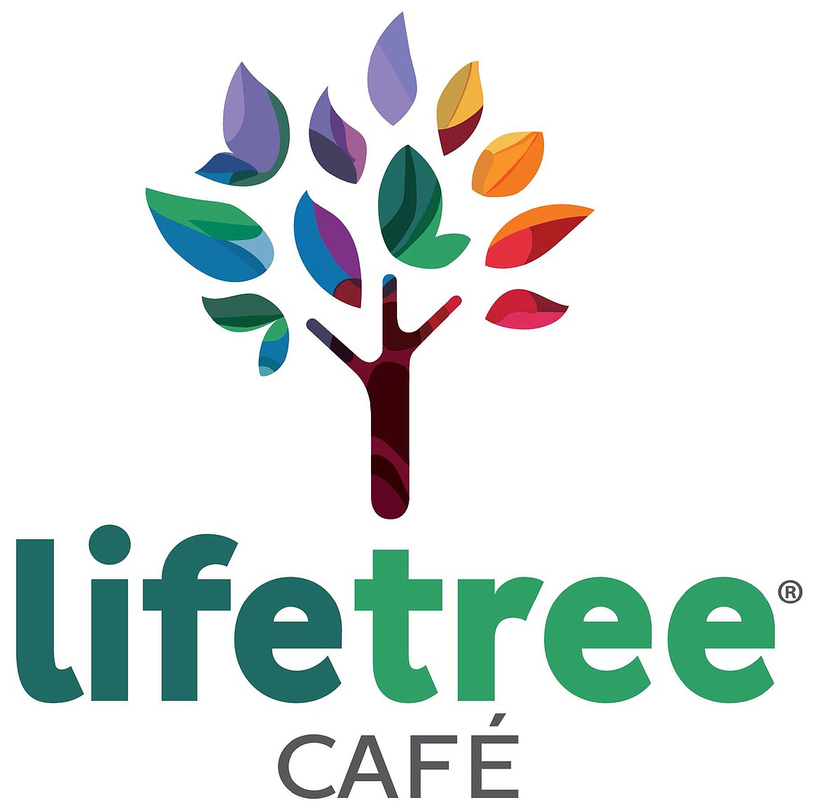 Talk explores why Jesus is worth saving | Bonner County Daily Bee