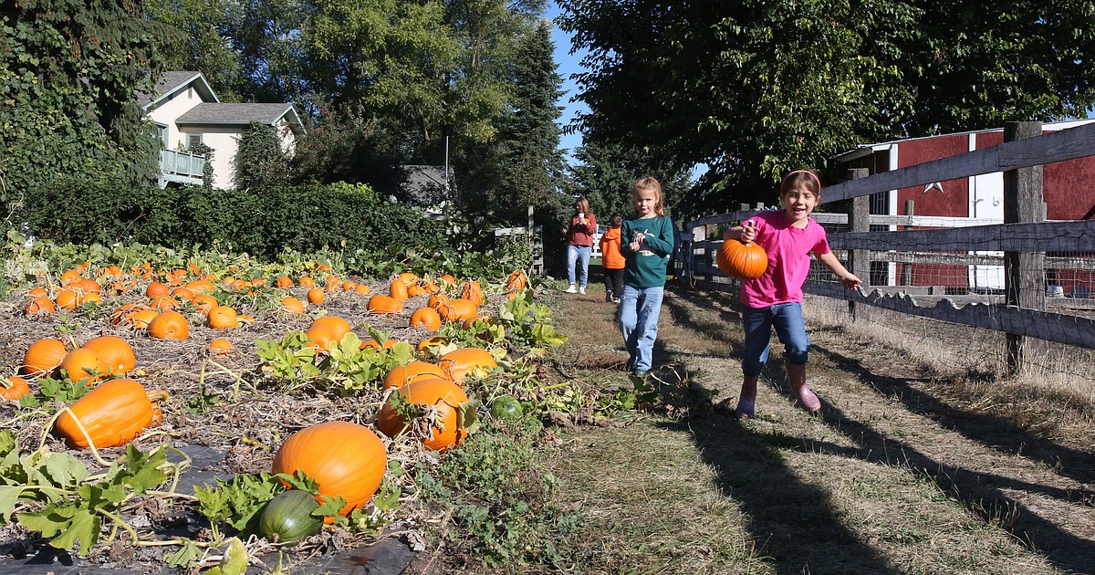 Prairie Home Farm to host 20th anniversary party Sunday | Coeur d'Alene ...