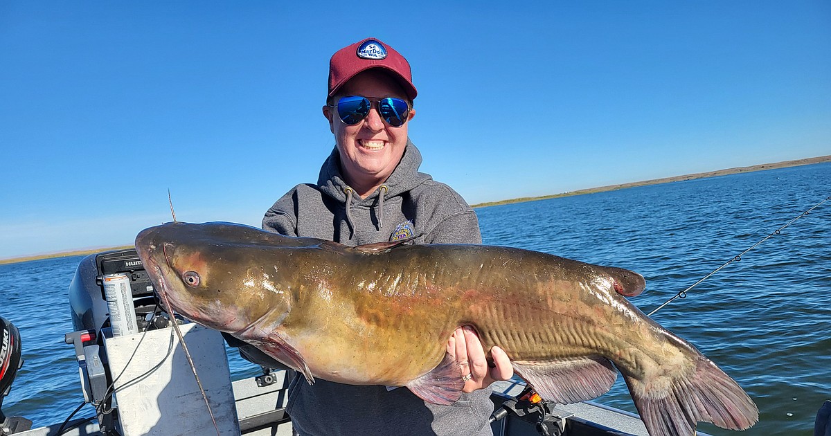 FRESH NEWS: Catfish hot at Potholes Reservoir | Columbia Basin Herald