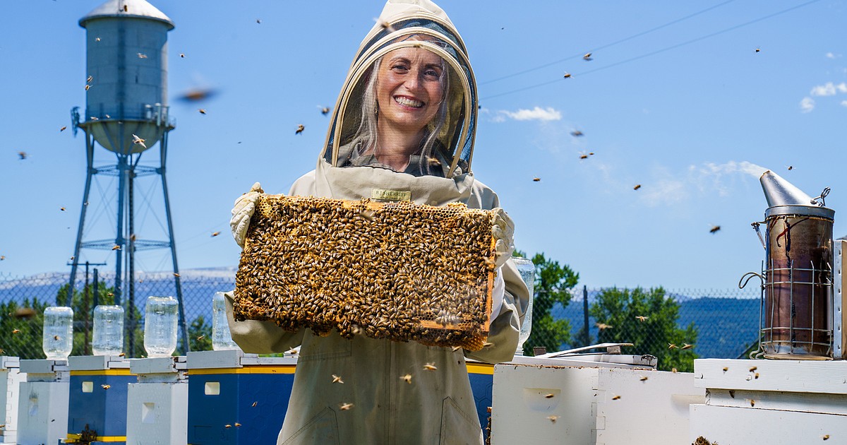 Buzzing: UM program trains master beekeepers worldwide | Daily Inter Lake