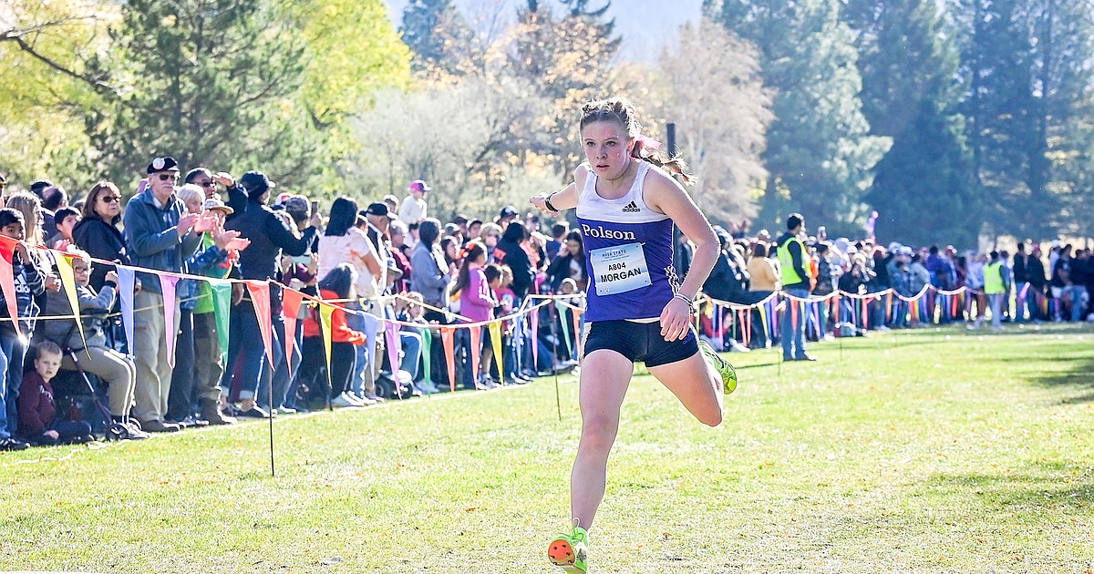 Delaney runs to individual XC state title | Lake County Leader