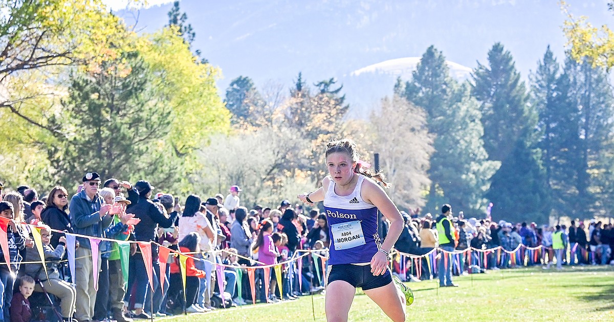 Delaney runs to individual XC state title | Lake County Leader