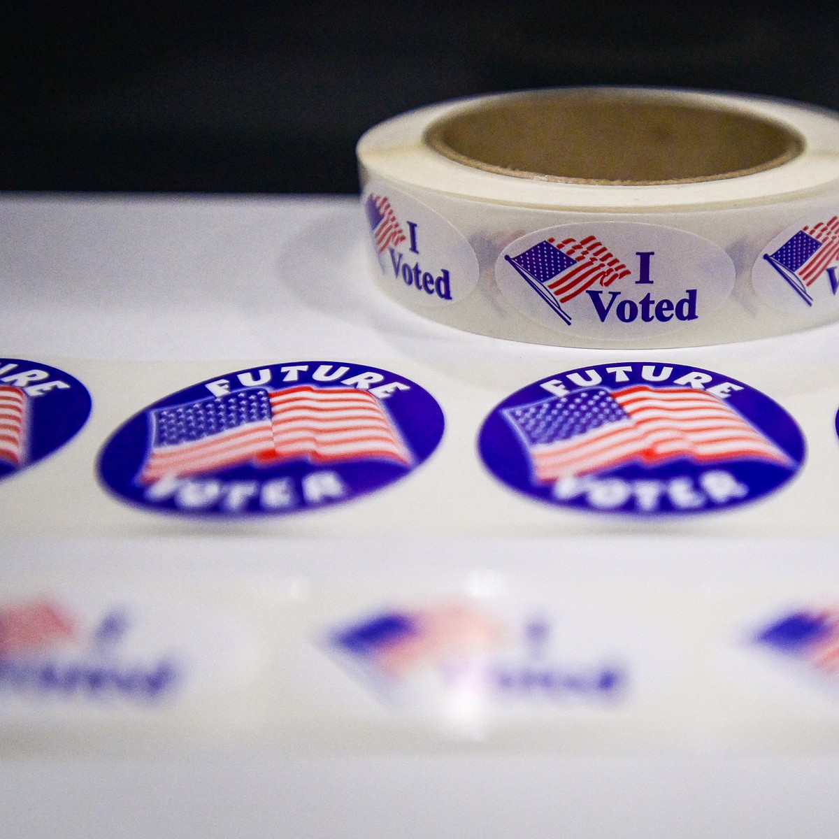 Candidates enter Flathead County races | Hagadone News Network
