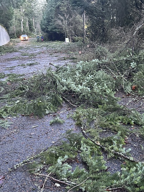 'Bomb cyclone' kills 2 and knocks out power to over half a million ...
