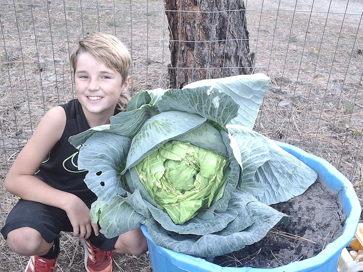 Plains 3rd grader is the top gardener in Montana | Hagadone News Network