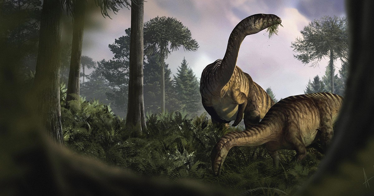 Fossilized dinosaur feces and vomit help scientists reconstruct the ...