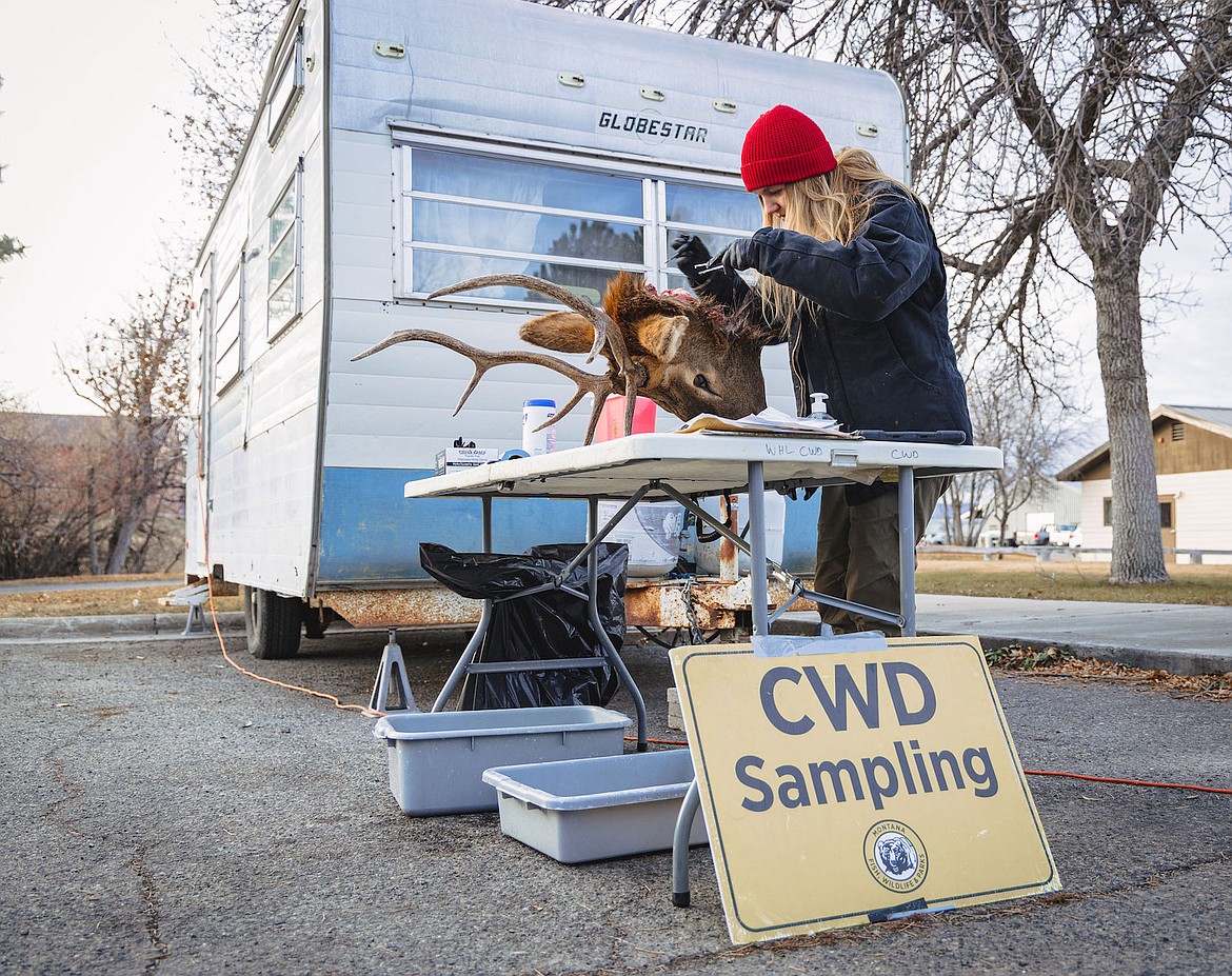 Sampling the work day of a CWD technician | Western News