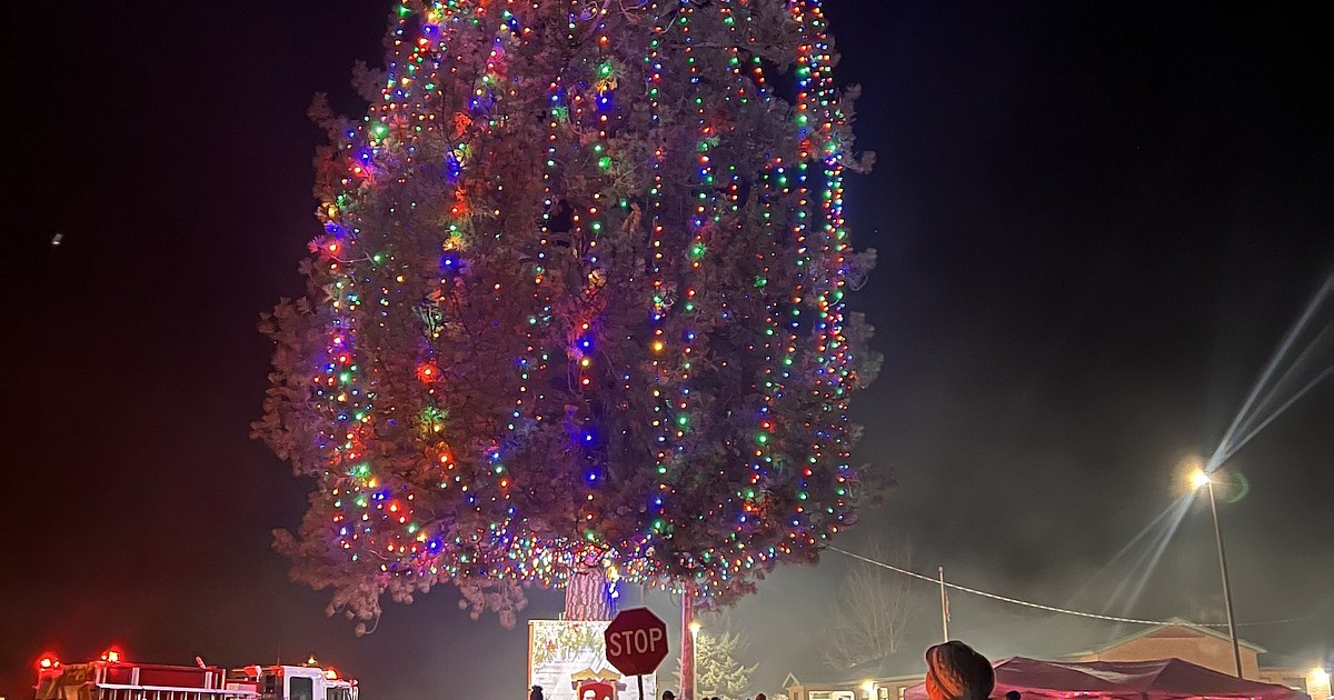 Troy Christmas Kickoff | Western News