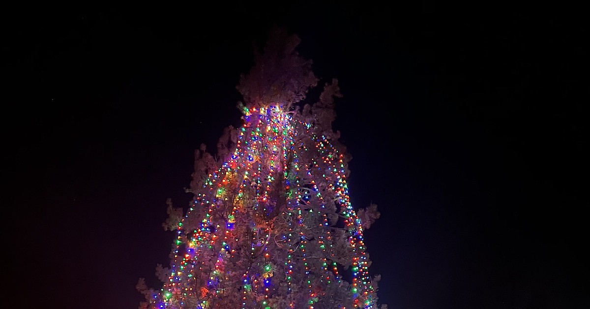 Troy Christmas Kickoff | Western News