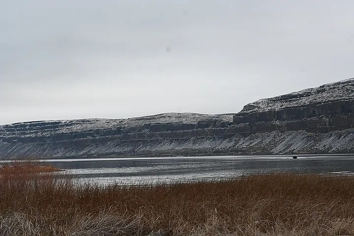 Steelhead released in Banks Lake | Columbia Basin Herald