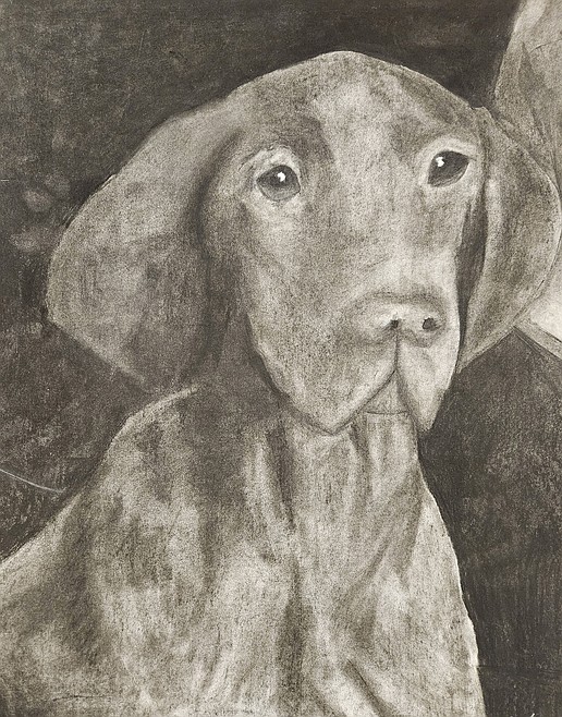 Student Art: ‘Oakley’ by Kaylynn Gates | Whitefish Pilot