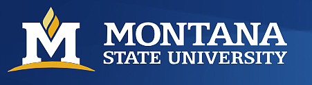 Montana State University announces fall 2024 honor roll | Coeur d'Alene ...