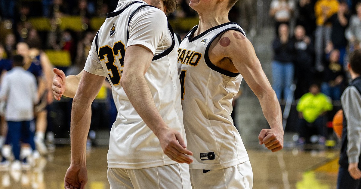 Mitchell's buzzer-beater helps Vandals stun first-place Northern ...