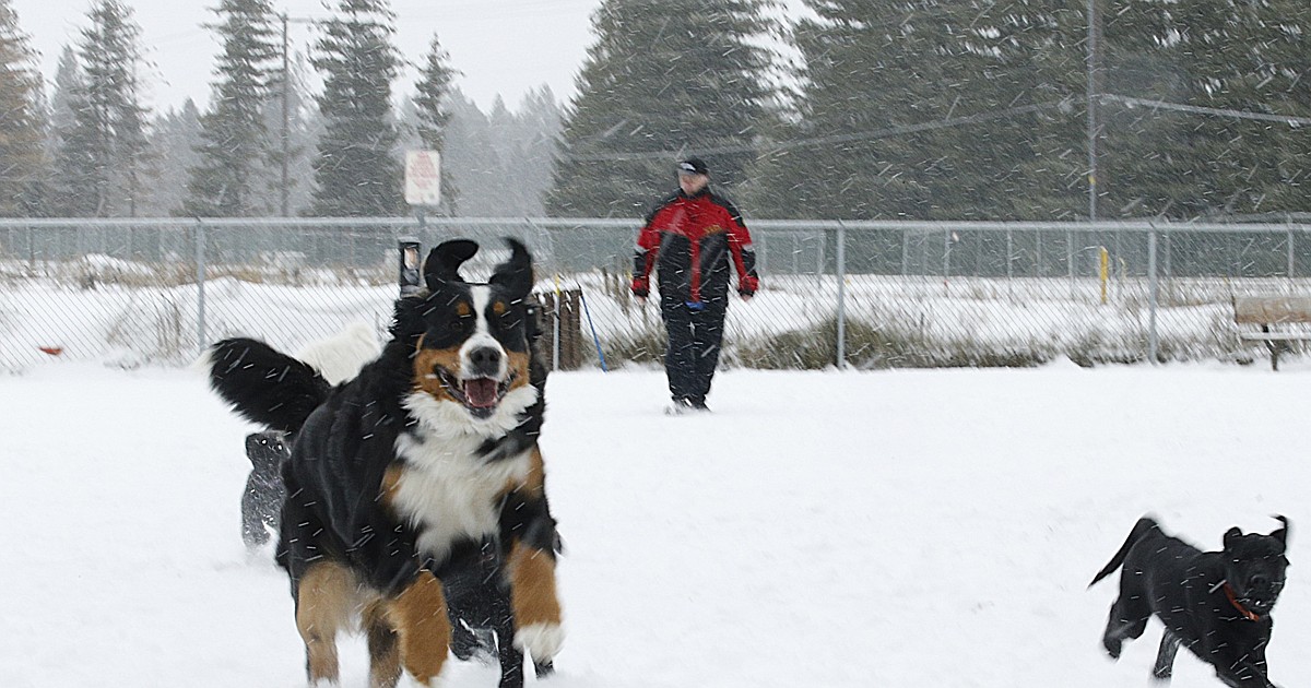 'It's about time': Coeur d'Alene embraces snowfall after slow start to ...
