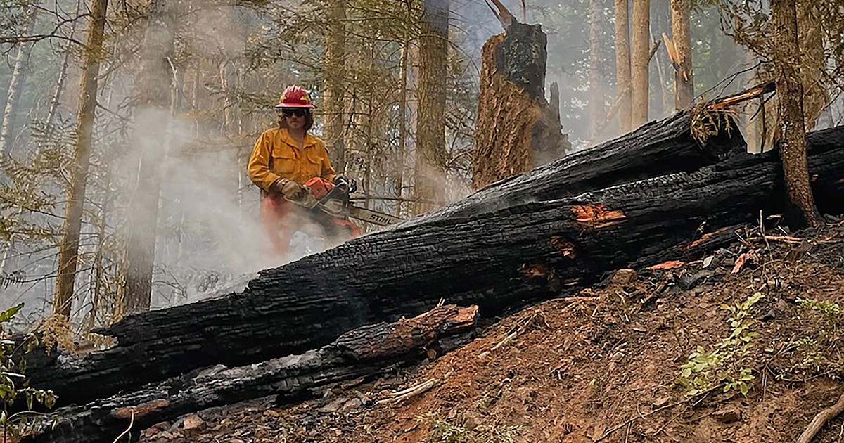 West Bonner County Lines - Feb. 19, 2025 | Hagadone News Network