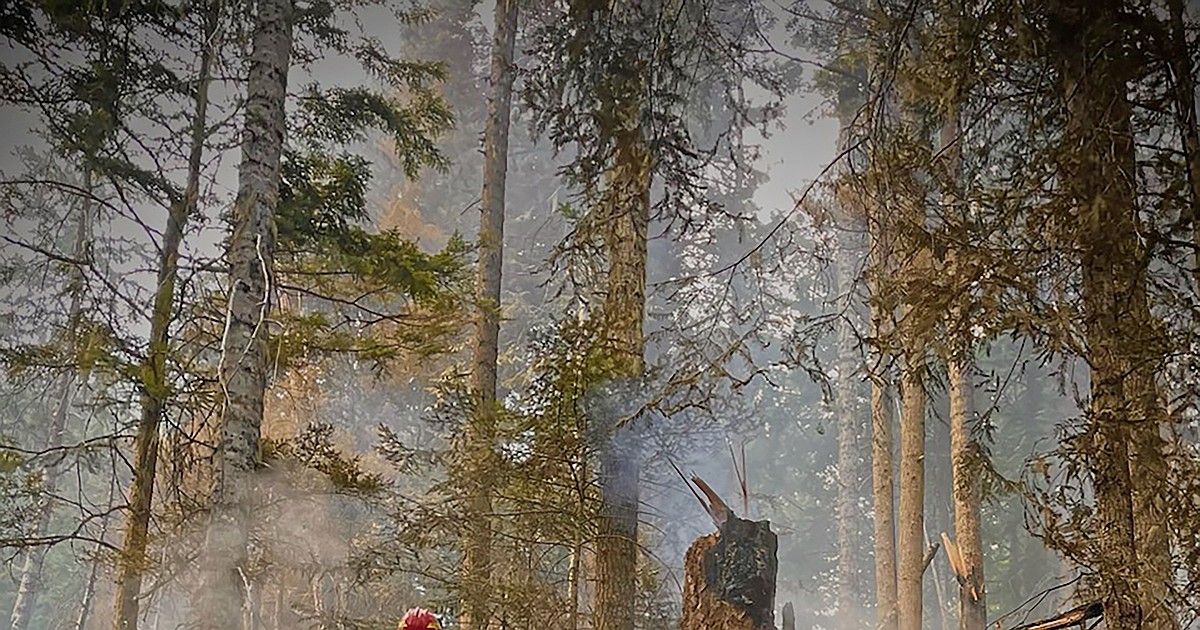 West Bonner County Lines - Feb. 19, 2025 | Bonner County Daily Bee