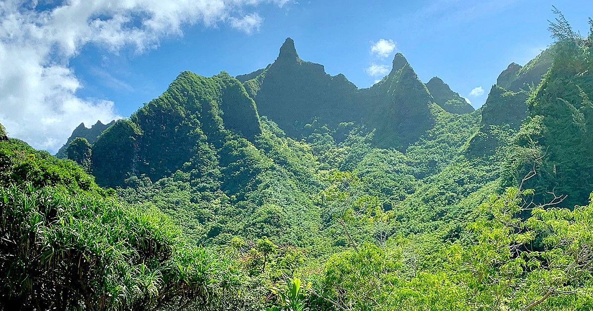 E Hele Mai i Kaua‘i: Leave the Moses Lake Winter Behind and Find Aloha ...