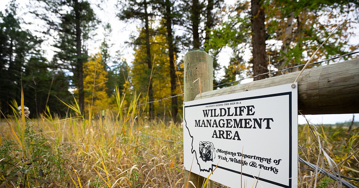 Forestry project in Kuhns Wildlife Management Area to improve habitat ...