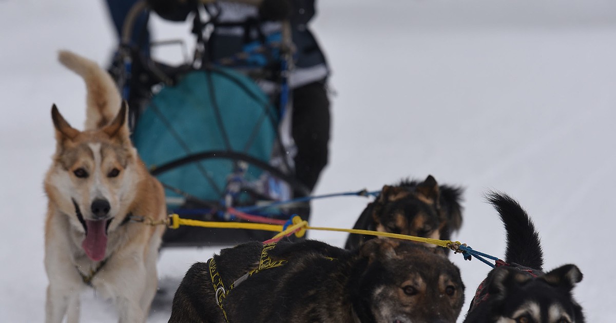 Photos: Flathead Classic | Whitefish Pilot