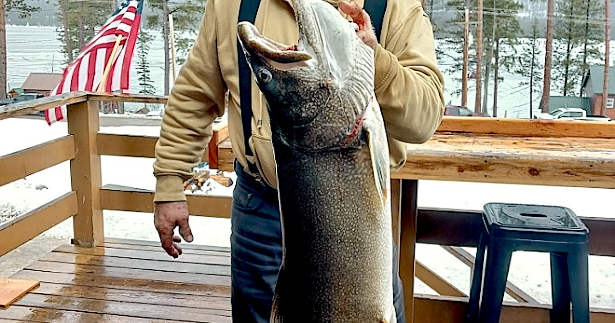 Libby's Bache wins McGregor Lake ice fishing derby | Hagadone News Network