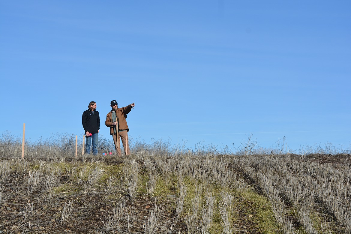 JULY NIBJ: Niche farming makes sure fruits of local agriculture grow on ...
