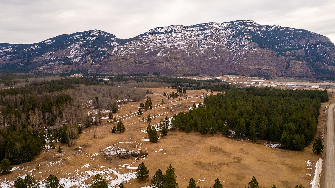 Housing study paints picture between haves and have nots; Separately ...