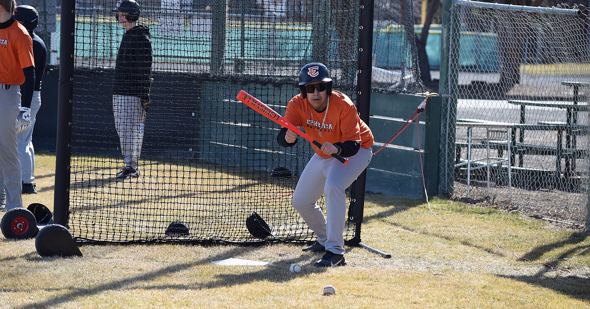 Tigers looking to grow toward success on the diamond | Hagadone News ...