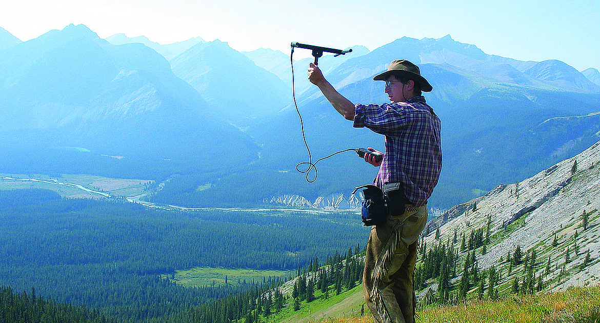 Montana researcher reflects on 30 years of wolves in Yellowstone ...