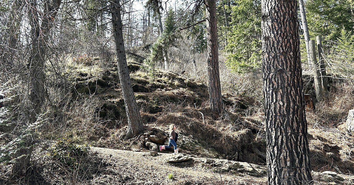 Tubbs Hill a major attraction | Coeur d'Alene Press