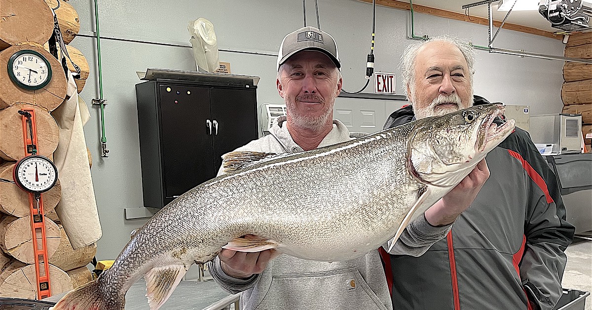 Week 1: Mack Days angler lands 38-inch lake trout | Bigfork Eagle