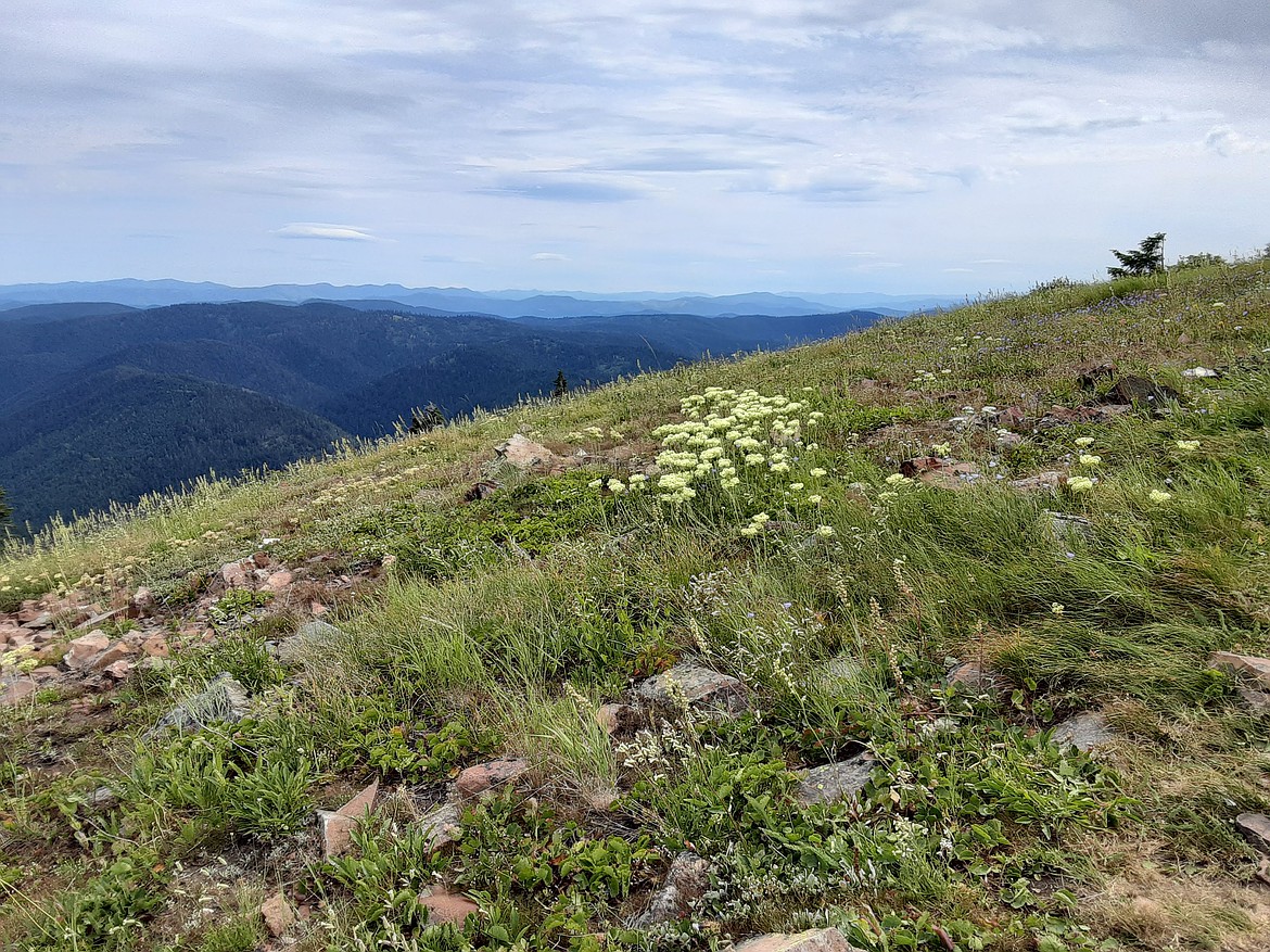 OUR GEM: North Idaho Green Summit | Coeur d'Alene Press