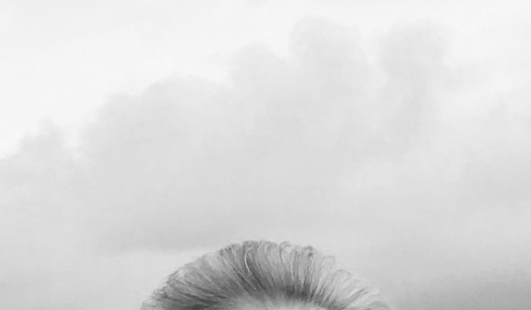 Kyle Adair | Columbia Basin Herald