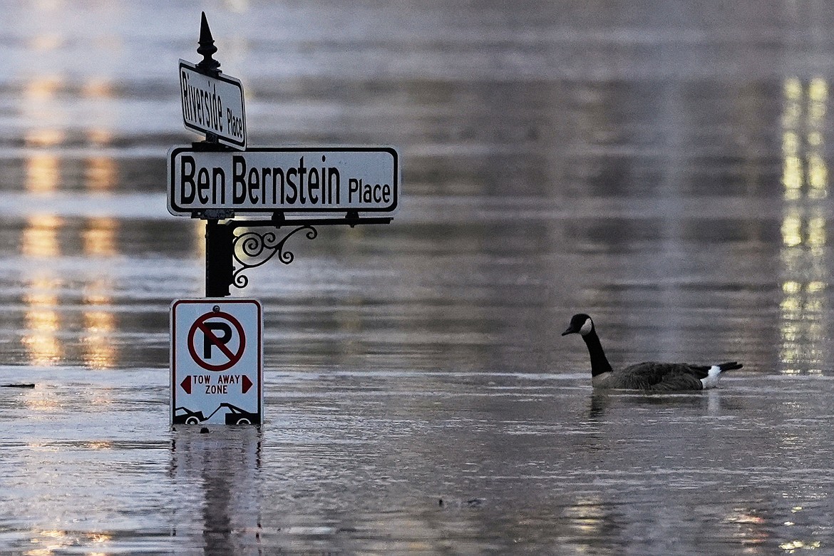 Swollen rivers are flooding towns in the US South after a prolonged ...