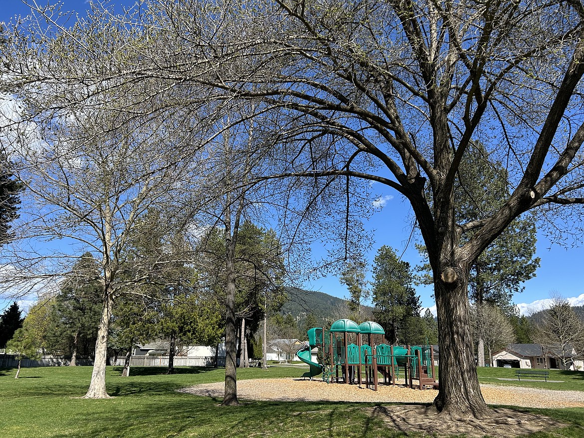 Vandalism rising in Coeur d'Alene | Hagadone News Network