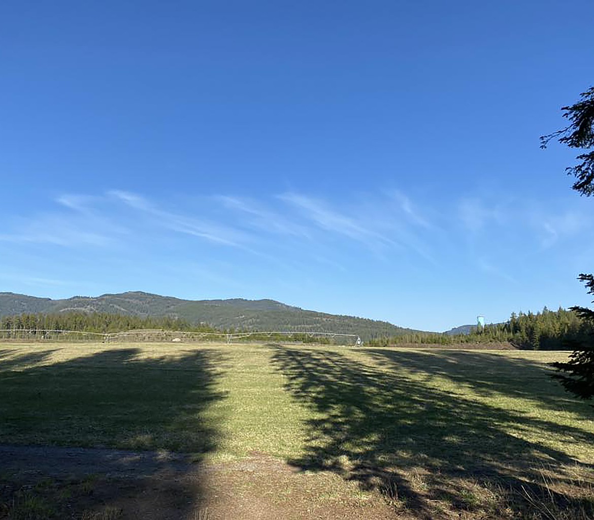 Best Shot - April 23, 2025 | Bonner County Daily Bee