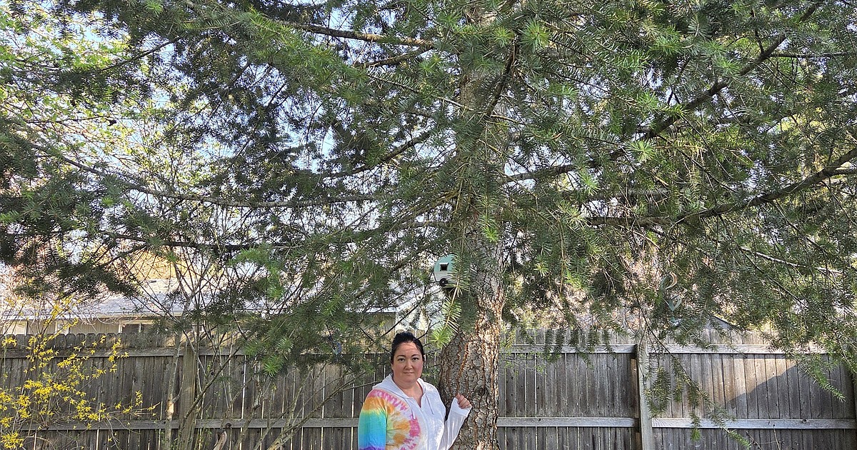 Arbor Day trees: Where are they now? | Hagadone News Network