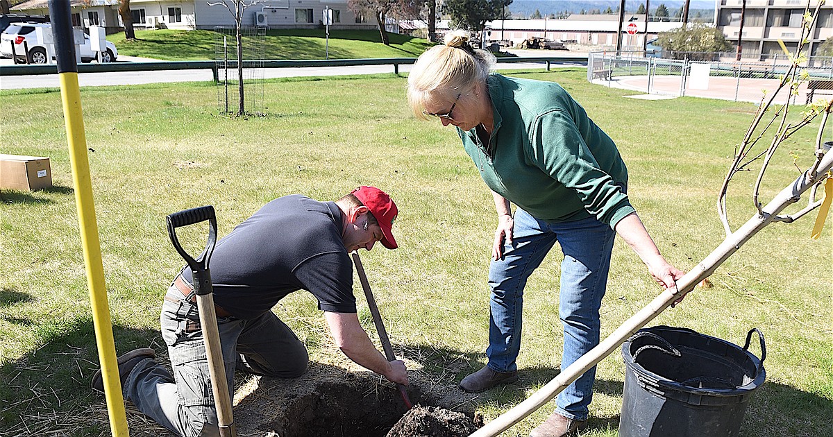 Libby celebrates Arbor Day | Western News
