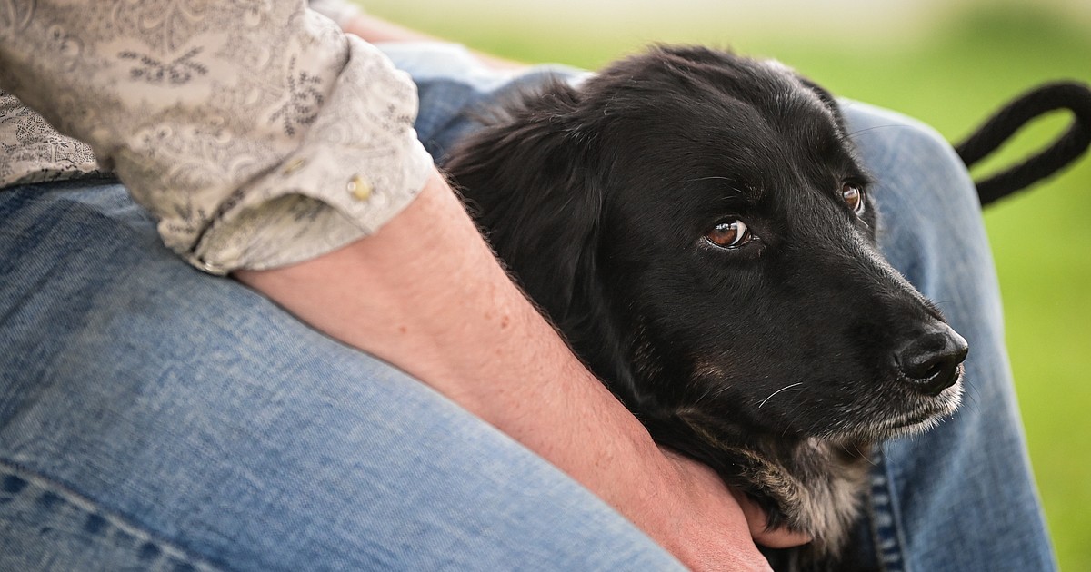 Alleged animal cruelty case in Coram settled with deferred prosecution ...