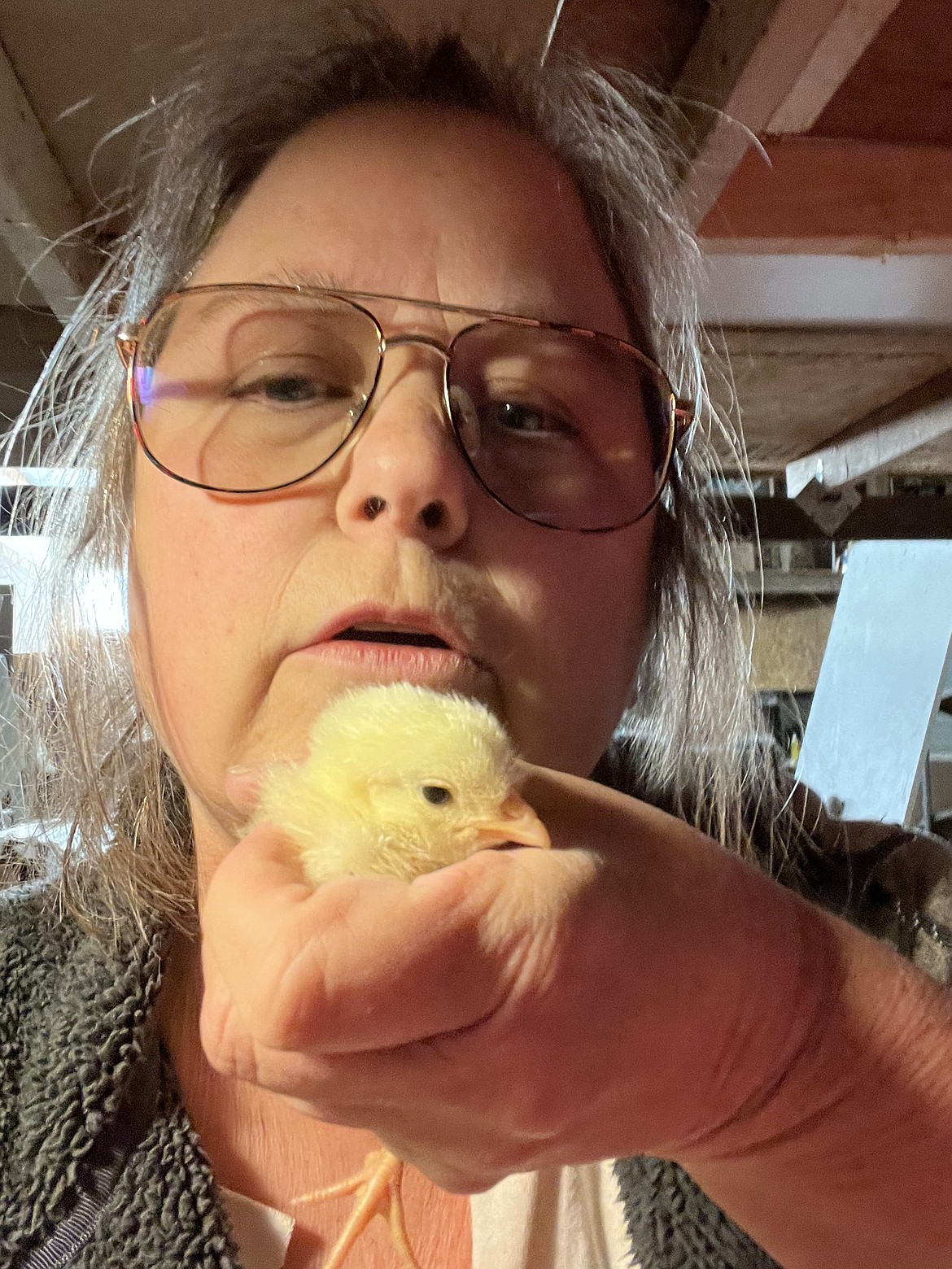 FAST FIVE Sandra Cook grows with love at Crazy Cat Chick Farm | Coeur d ...