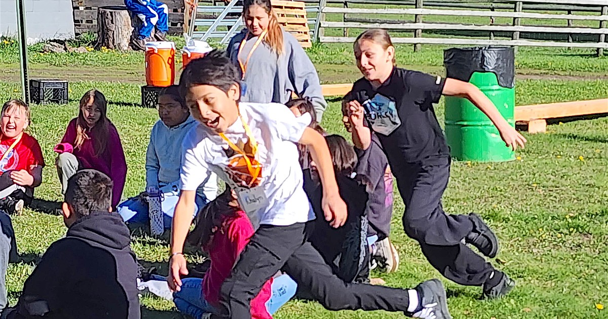 Ag Days brings kids to the Cheff ranch | Hagadone News Network