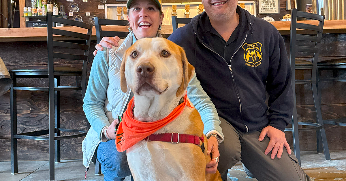 'Hello, my name is Butters' | Bonner County Daily Bee